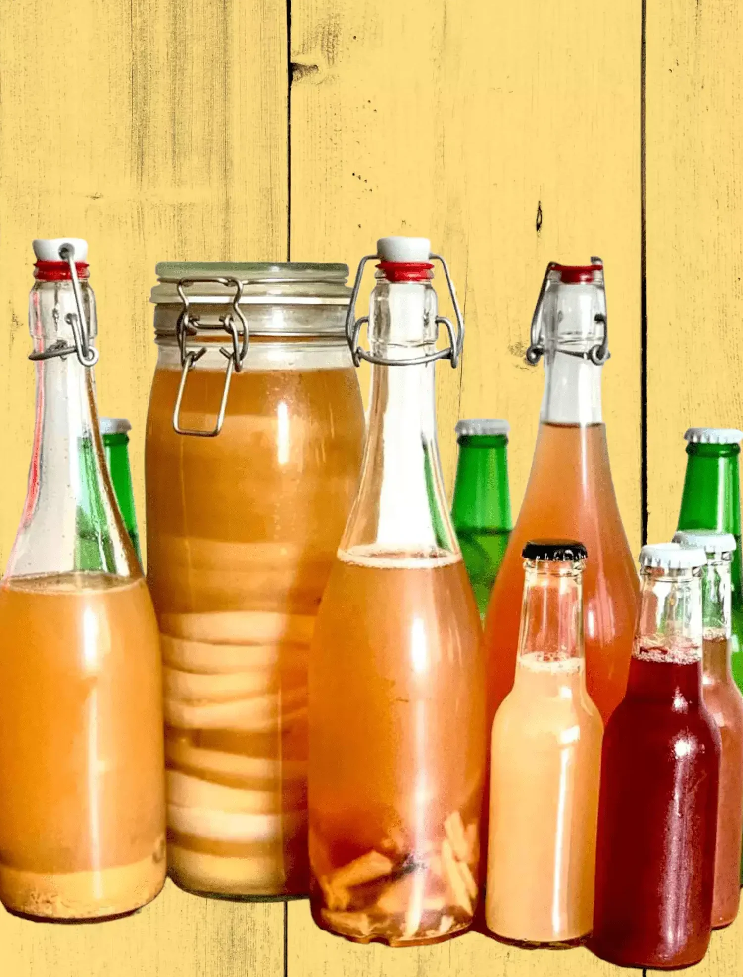 Kombucha Artesanal: Cria e Fermenta em Casa - KOMBUCHA ARTESANAL PORTUGUESA