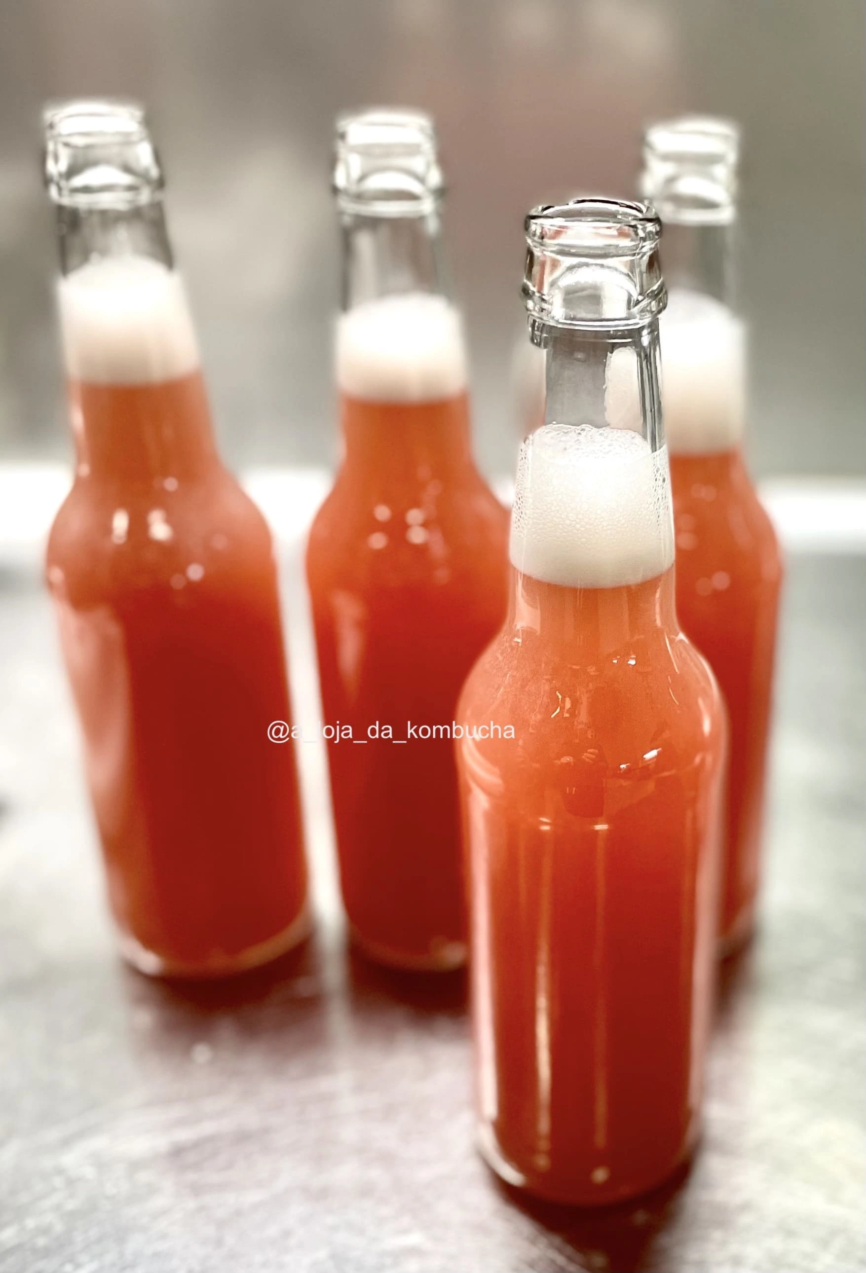 blog kombucheiro - KOMBUCHA ARTESANAL PORTUGUESA